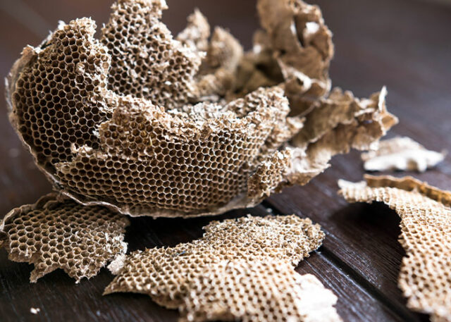 20 Times People Discovered Creepy And Unsettling Things In Homes | DeMilked