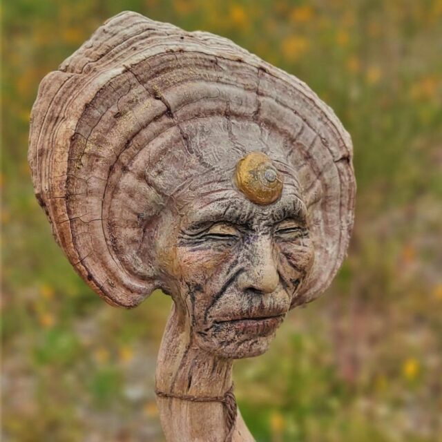 20 Beautiful Driftwood Sculptures Showing Our Interdependence With ...