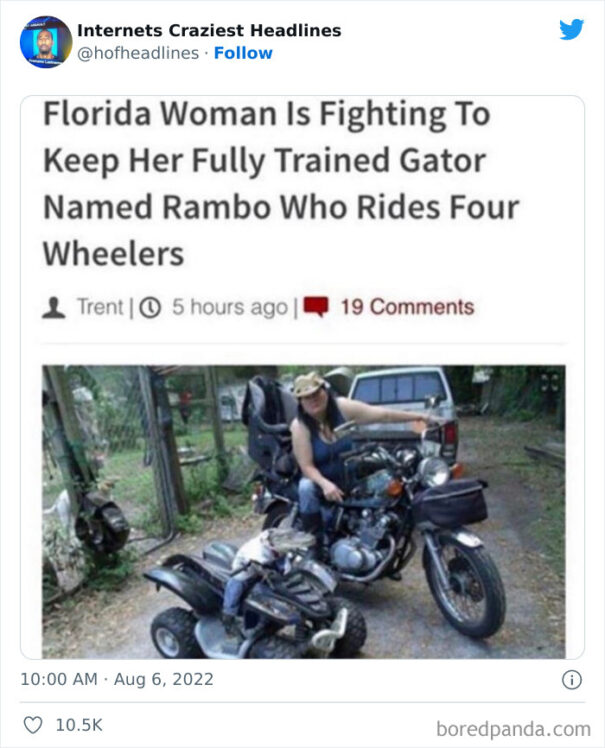 30 Of The Craziest Headlines Spotted Online, As Shared By This Twitter ...