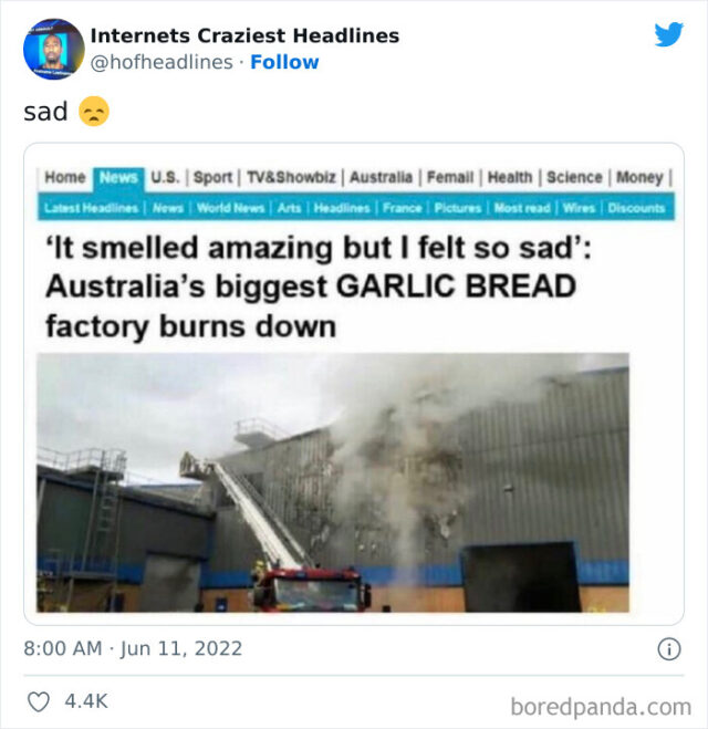 30 Of The Craziest Headlines Spotted Online, As Shared By This Twitter ...