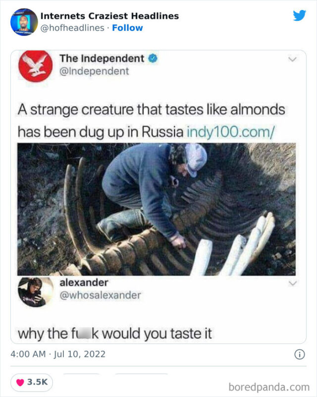 30 Of The Craziest Headlines Spotted Online, As Shared By This Twitter ...