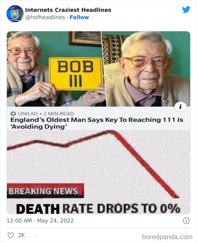 30 Of The Craziest Headlines Spotted Online, As Shared By This Twitter ...