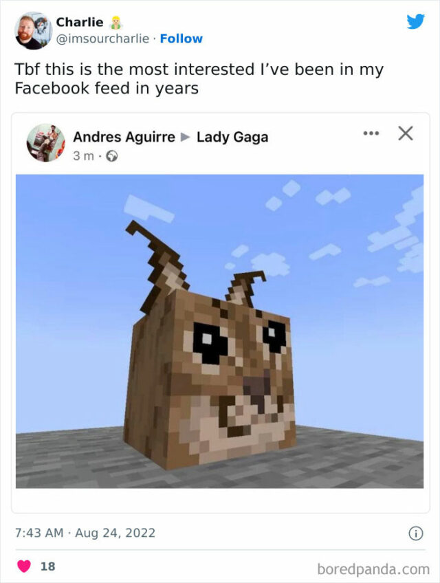 20 Of The Funniest Reactions And Memes To The Hilarious Facebook Feed ...