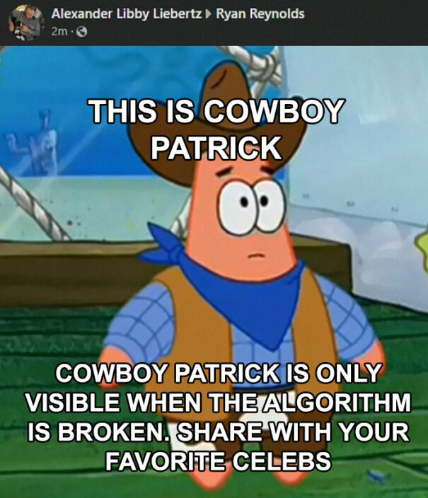 20 Of The Funniest Reactions And Memes To The Hilarious Facebook Feed ...