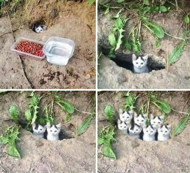 30 Times People Failed At Photoshop So Hard, Their Works Had To Be ...