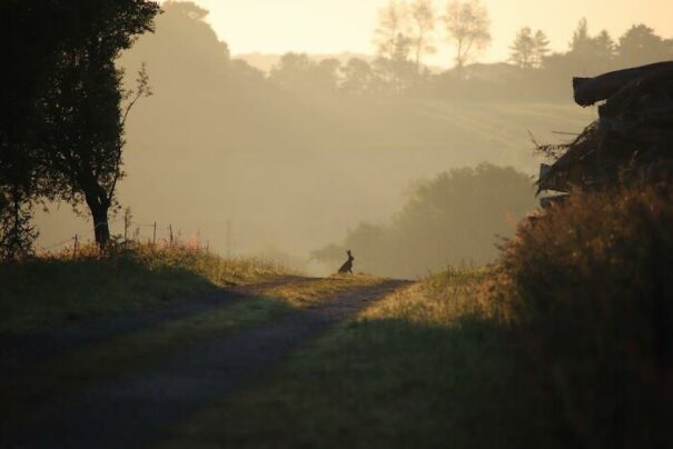 20 Shocking Coincidences That Will Make You Wonder About Their Odds ...