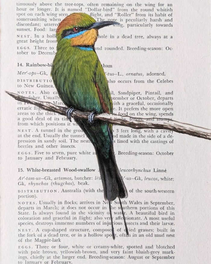 Artist Uses Pages Of Vintage Books As His Canvas To Paint Magnificent ...