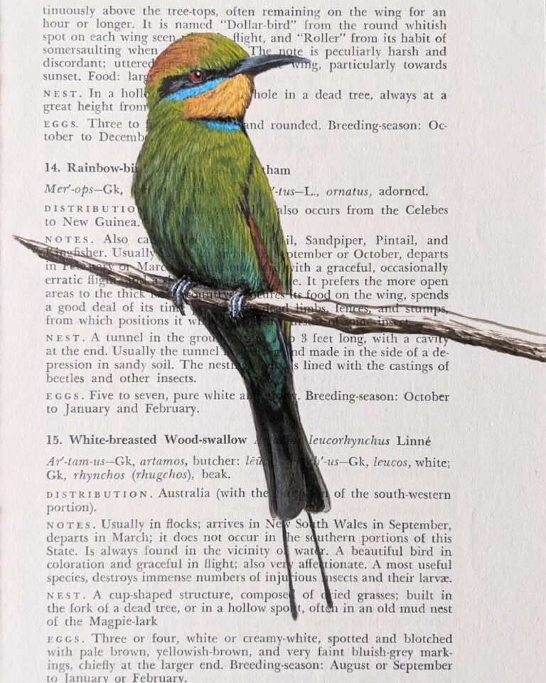 Artist Uses Pages Of Vintage Books As His Canvas To Paint Magnificent ...