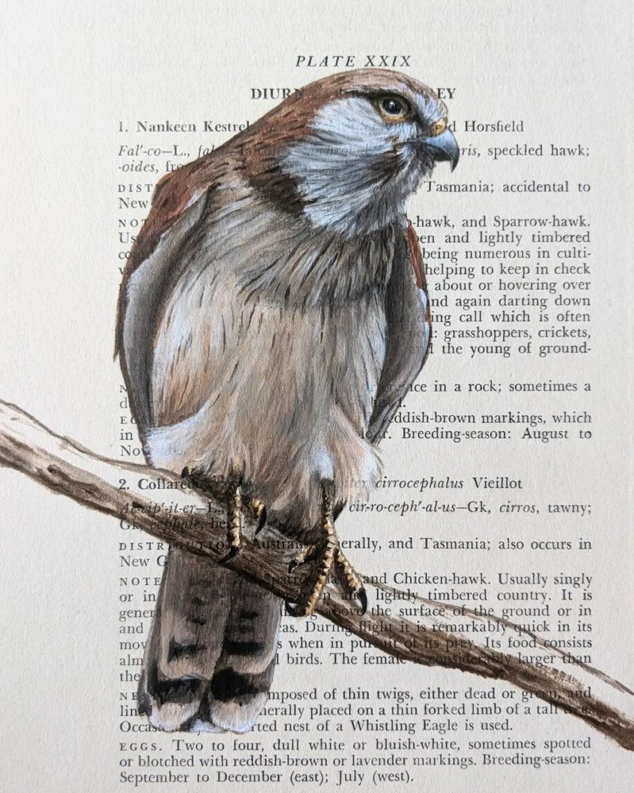 Artist Uses Pages Of Vintage Books As His Canvas To Paint Magnificent ...