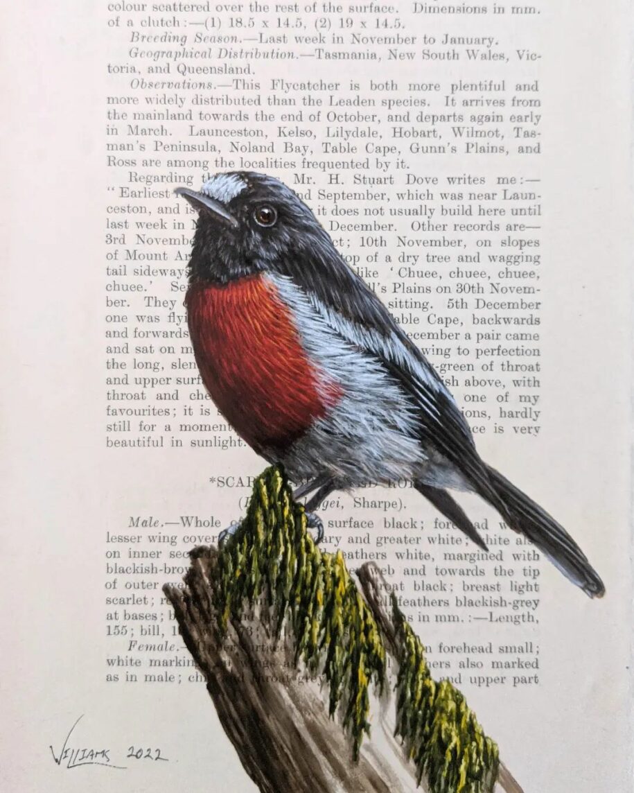 Artist Uses Pages Of Vintage Books As His Canvas To Paint Magnificent ...