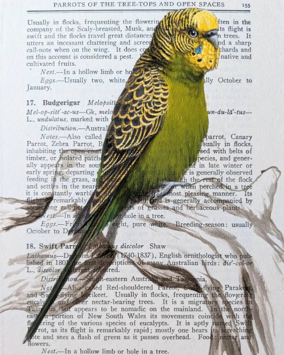 Artist Uses Pages Of Vintage Books As His Canvas To Paint Magnificent ...