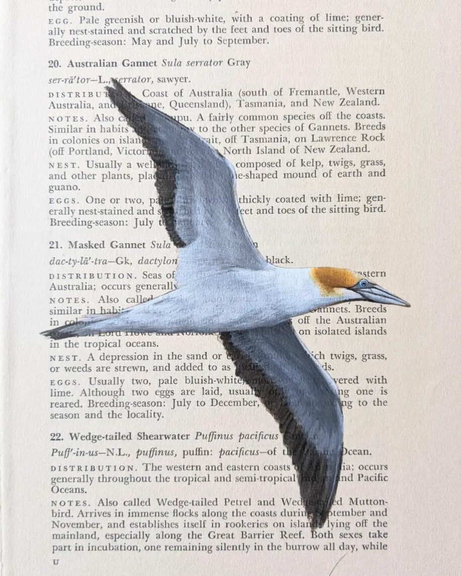 Artist Uses Pages Of Vintage Books As His Canvas To Paint Magnificent ...