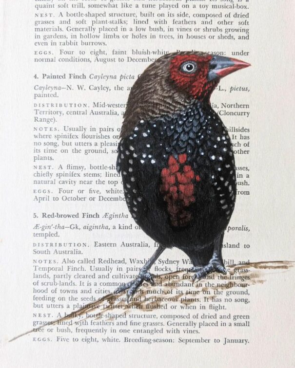 Artist Uses Pages Of Vintage Books As His Canvas To Paint Magnificent ...