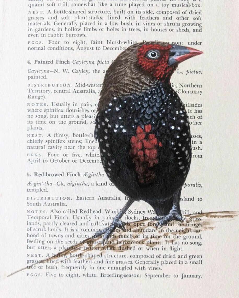 Artist Uses Pages Of Vintage Books As His Canvas To Paint Magnificent ...