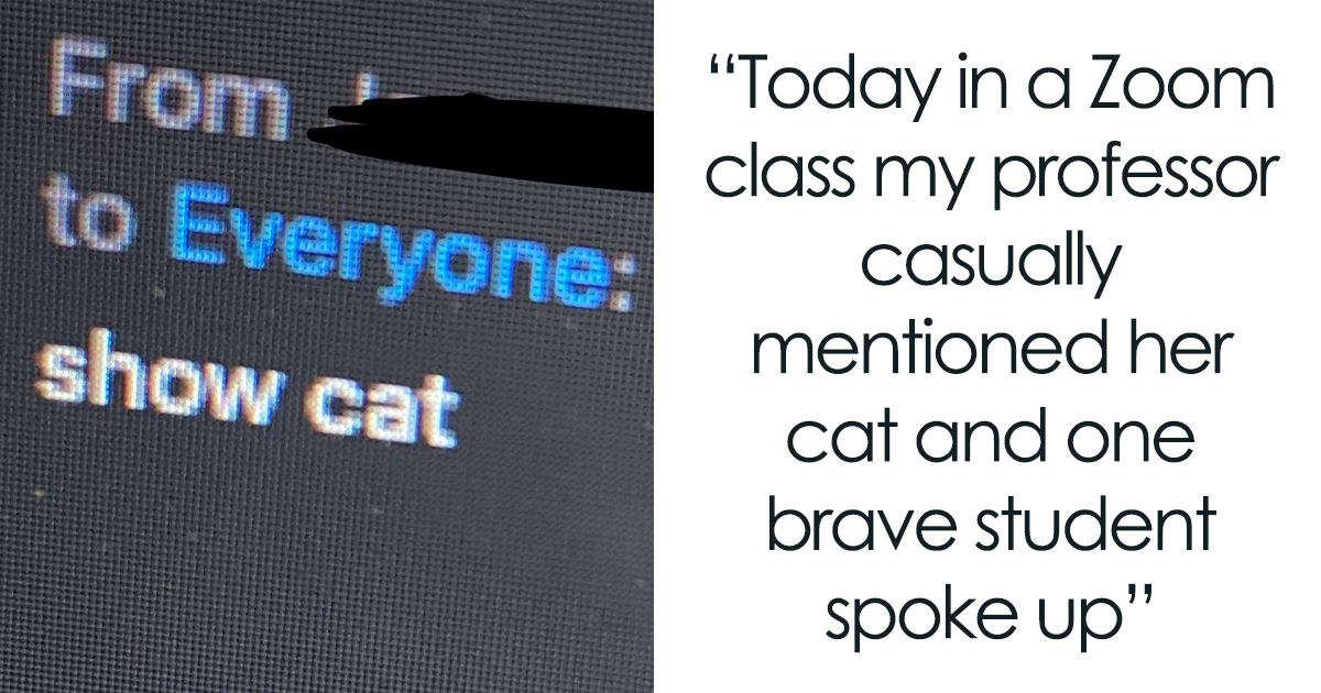 30 Adorable And Funny Posts From The "Cats On Catnip" Facebook Account ...