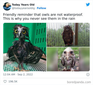 30 “Today Years Old” Facts That Prove It’s Never Too Late To Learn ...
