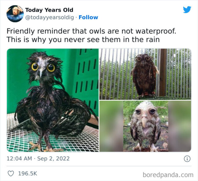 30 “Today Years Old” Facts That Prove It’s Never Too Late To Learn ...