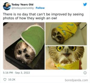 30 “Today Years Old” Facts That Prove It’s Never Too Late To Learn ...