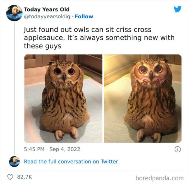 30 “Today Years Old” Facts That Prove It’s Never Too Late To Learn ...