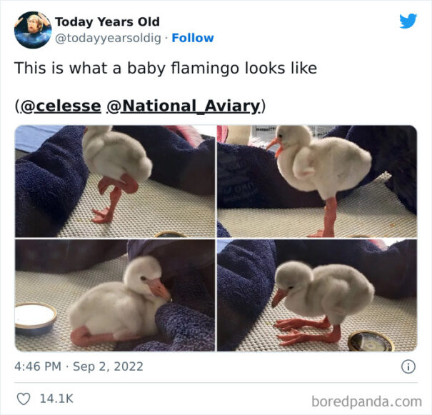 30 “Today Years Old” Facts That Prove It’s Never Too Late To Learn ...