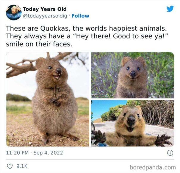 30 “Today Years Old” Facts That Prove It’s Never Too Late To Learn ...