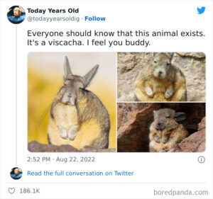 30 “Today Years Old” Facts That Prove It’s Never Too Late To Learn ...