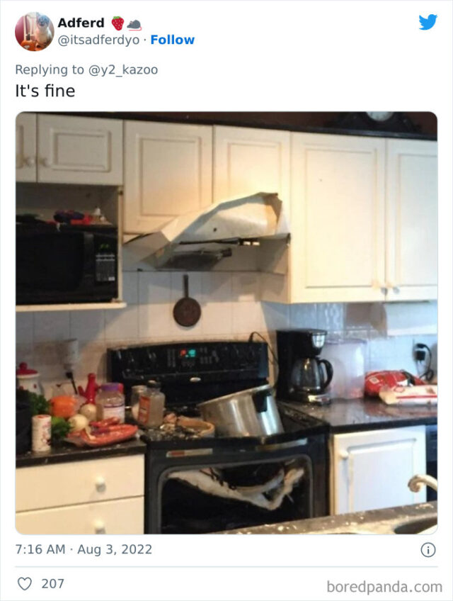 20 Times People Tried Their Hand At Cooking And Failed Miserably | DeMilked