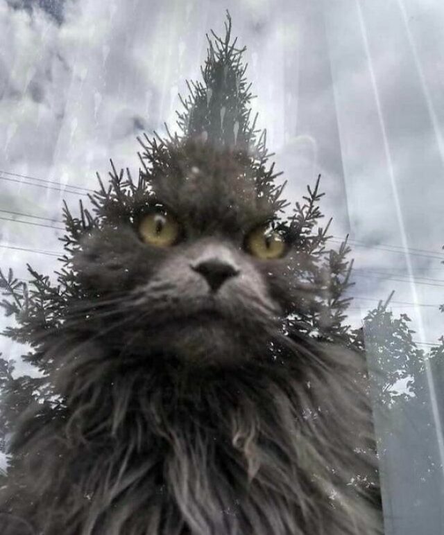 30 Of The Best Optical Illusion Photos The Internet Has To Offer | DeMilked