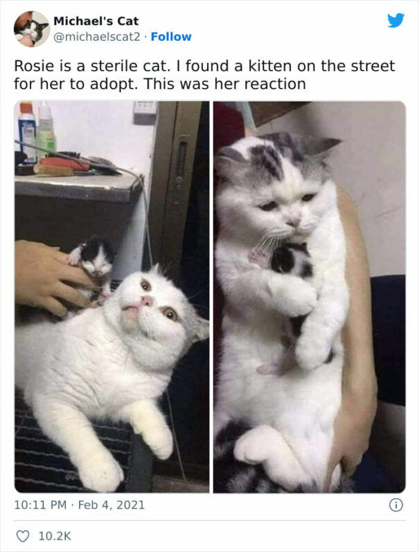 “Very Important Positivity” Facebook Group Shares Feel-Good Posts, And ...