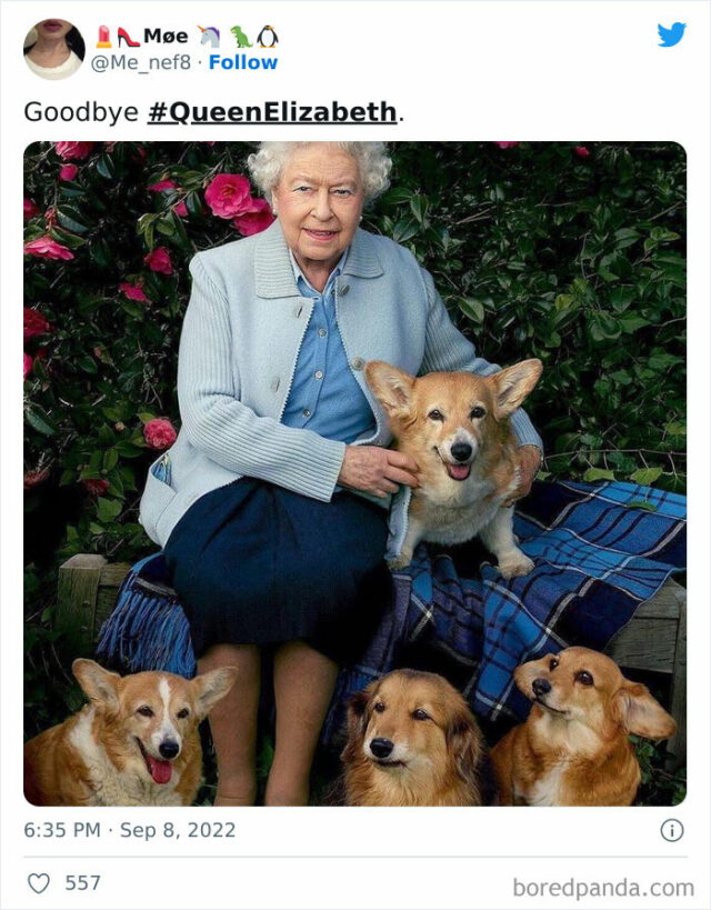30 Of The Most Wholesome Tributes To Queen Elizabeth II From All Around ...
