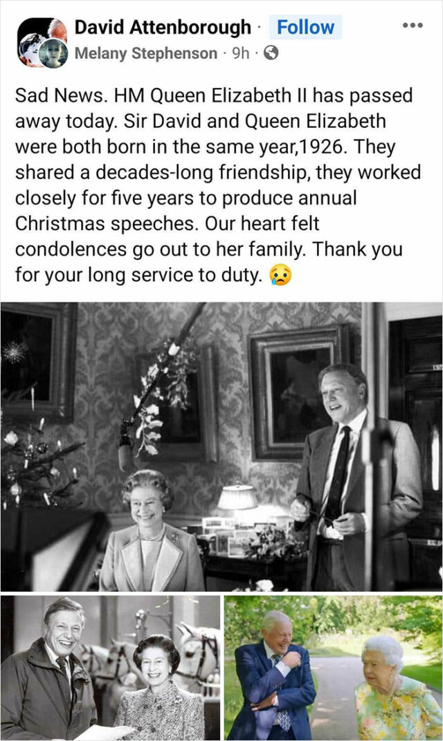30 Of The Most Wholesome Tributes To Queen Elizabeth II From All Around ...
