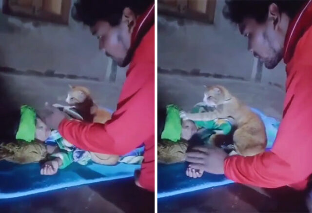 30 Of The Most Adorable Animal Pictures To Show That They Are Emotional ...