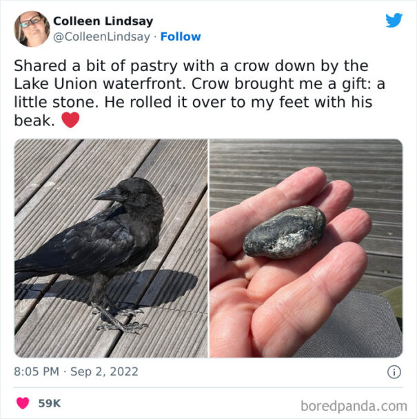 30 Of The Most Adorable Animal Pictures To Show That They Are Emotional ...