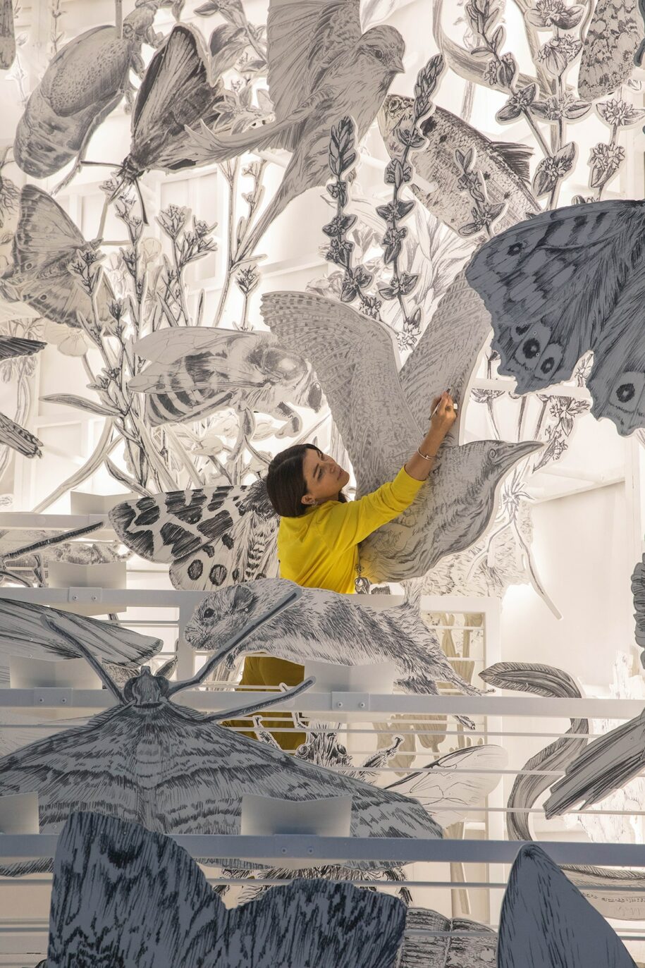 Artist Creates A Public Installation Of 243 Endangered Species As A ...