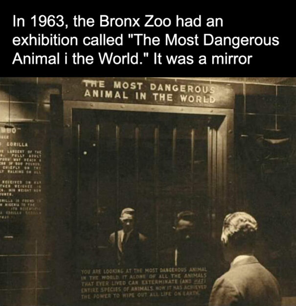 20 Haunting Facts And Pics That Might Keep You Awake At Night | DeMilked