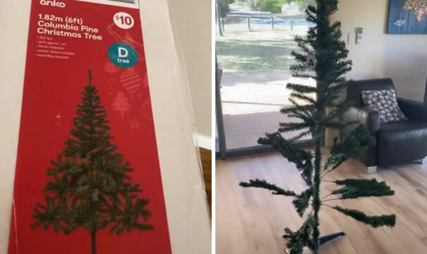 20 Funny Posts From The ‘What I Wanted Vs. What I Got’ Trend On TikTok ...