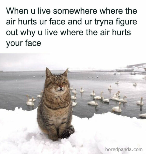 30 Memes And Posts Proving Why Canada Is Different From The Rest Of The ...