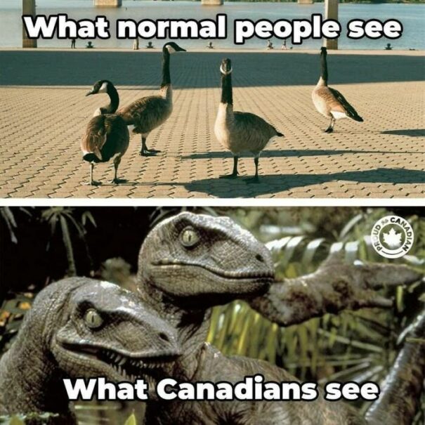 30 Memes And Posts Proving Why Canada Is Different From The Rest Of The ...