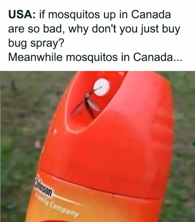 30 Memes And Posts Proving Why Canada Is Different From The Rest Of The ...