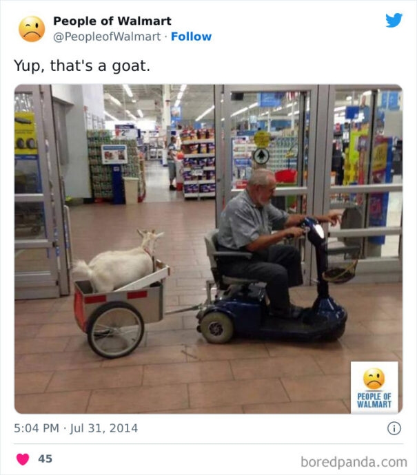 30 Of The Most Interesting People Spotted Shopping In Walmart | DeMilked