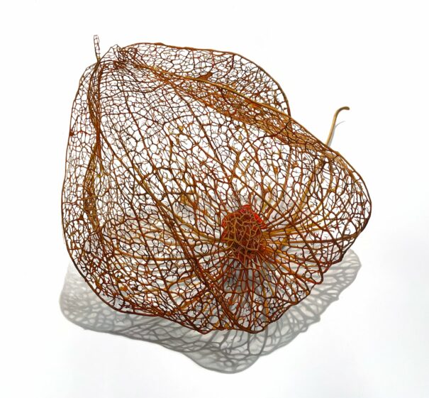 Artist Creates Amazing Hyperrealistic Drawings To Portray The Beauty Of ...