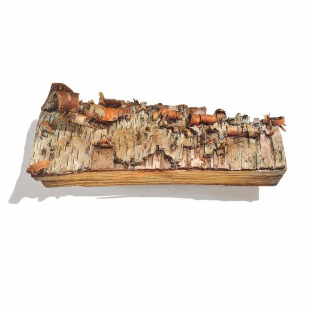 Artist Creates Amazing Hyperrealistic Drawings To Portray The Beauty Of ...