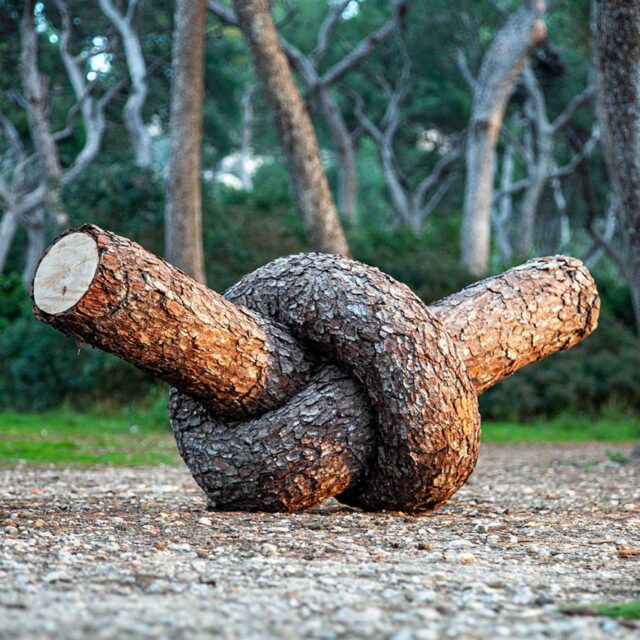 This Man Decided To Twist Tree Trunks In His Mind-Boggling Project ...