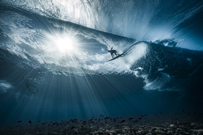 14 Of The Most Stunning Photos From The 2022 Ocean Photographers of the ...