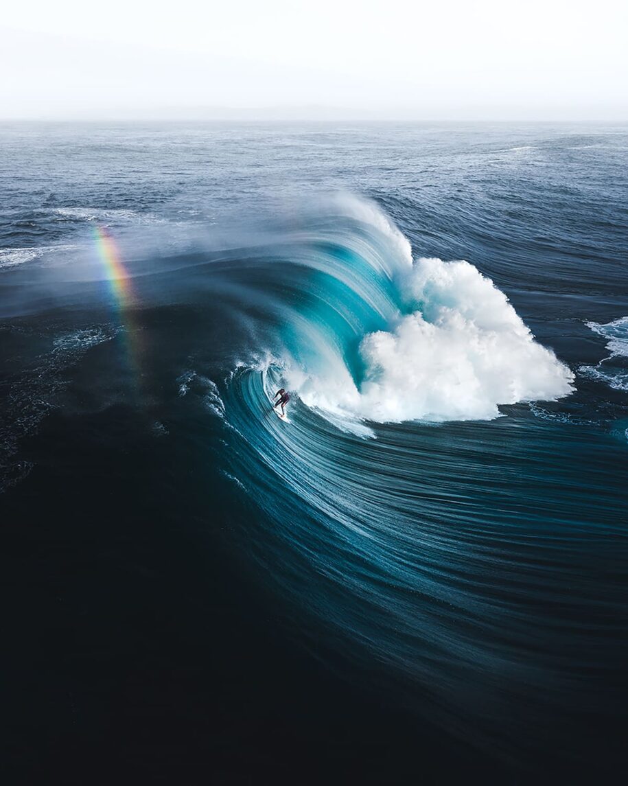 14 Of The Most Stunning Photos From The 2022 Ocean Photographers of the ...