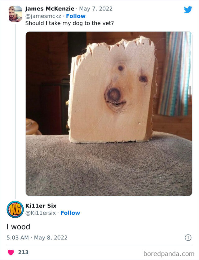 30 Puns From The 'Puns' Online Community To Tickle Your Brain | DeMilked