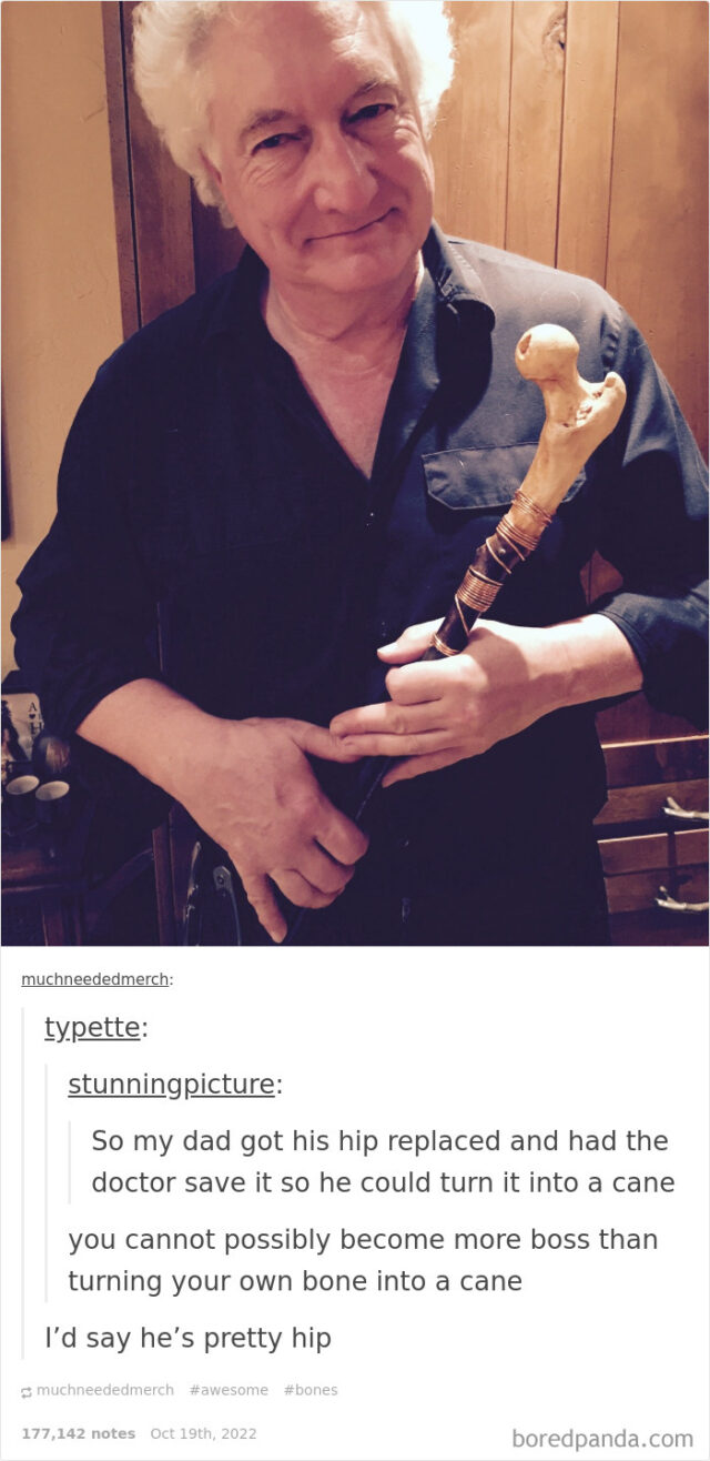 30 Puns From The 'Puns' Online Community To Tickle Your Brain | DeMilked