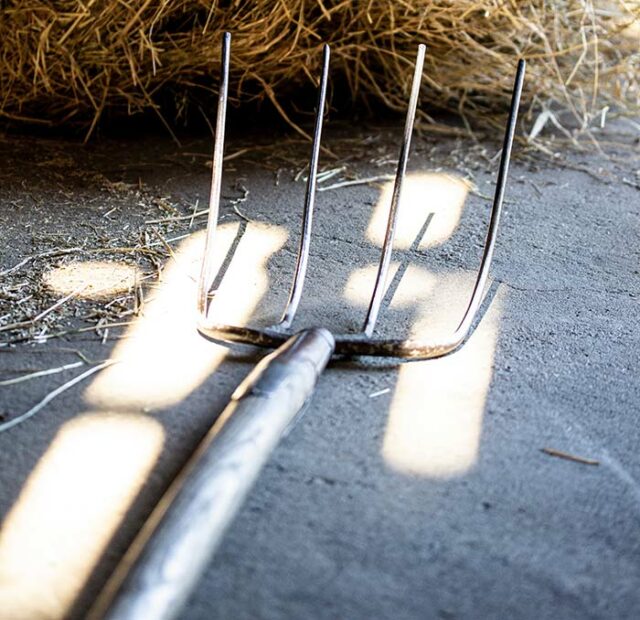 20 People Share Incredible Things That Sound Made Up But That They ...