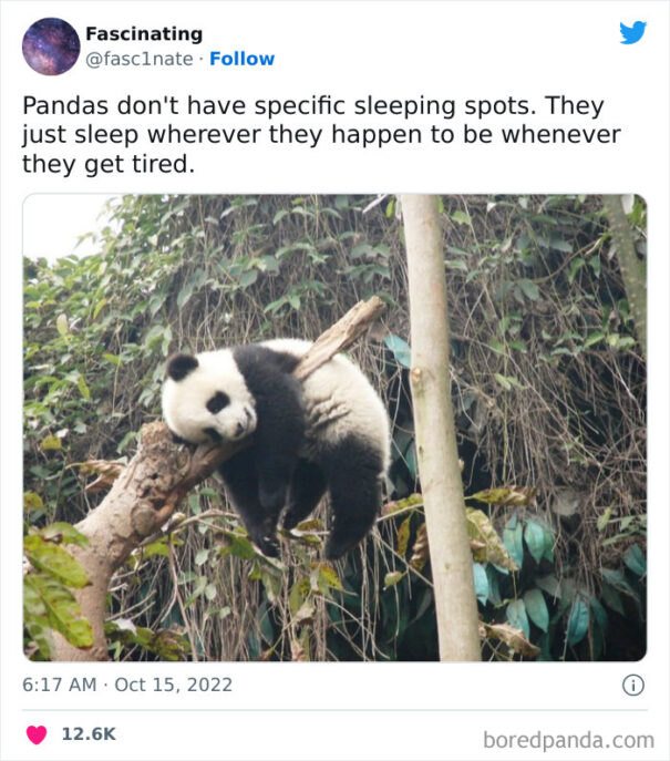 20 Fascinating Fun Facts From This Twitter Page That Could Surprise You ...