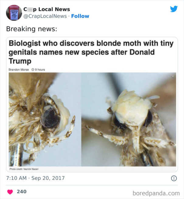 This Twitter Account Posts The Internet’s “Craziest Headlines”, And ...